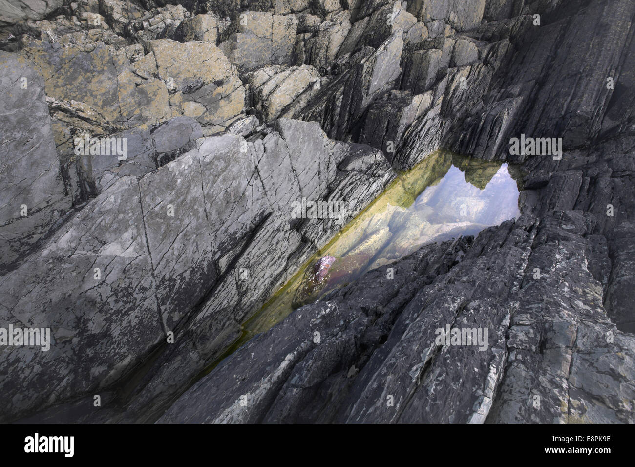 The rockpool hi-res stock photography and images - Alamy