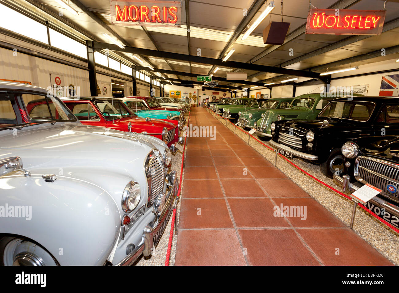 'Memory Lane' - a collection of 1950s & 1960s classic cars in the ...