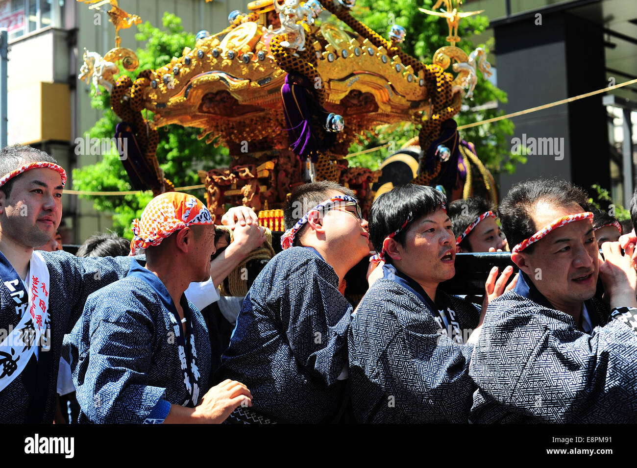 Festival participants carry "Omikoshi" - a portable Shinto shrine which ...