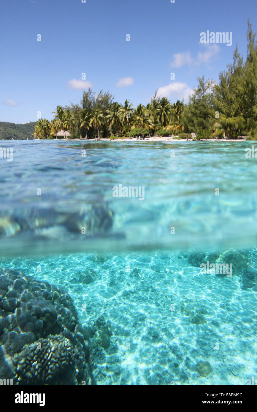 over and underwater view of tropical island Stock Photo - Alamy