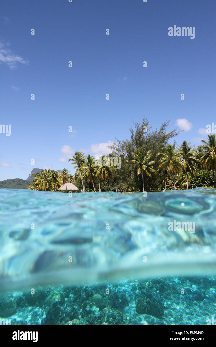 over and underwater view of tropical island Stock Photo - Alamy