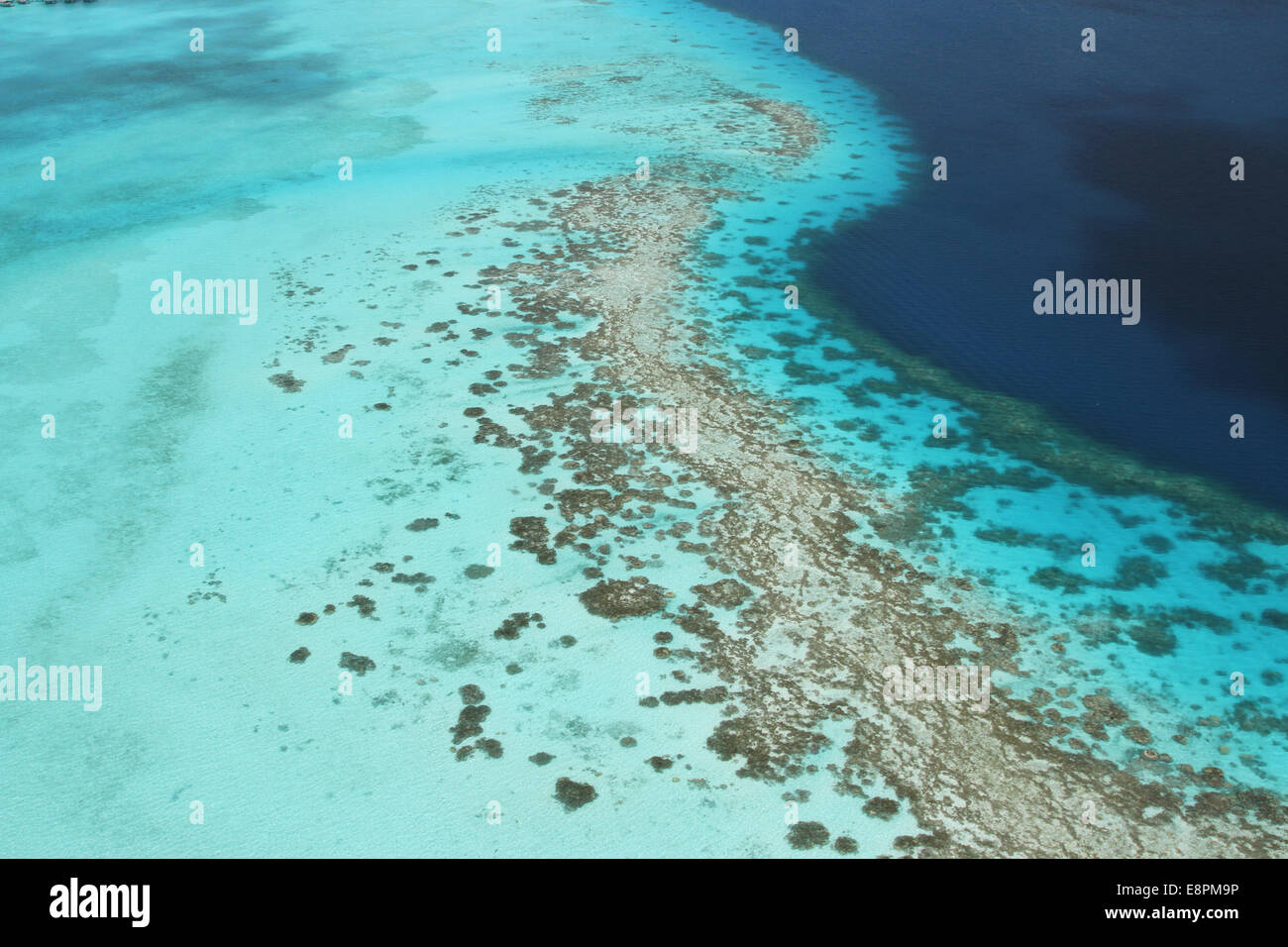 aerial view of turquoise water and reef Stock Photo - Alamy