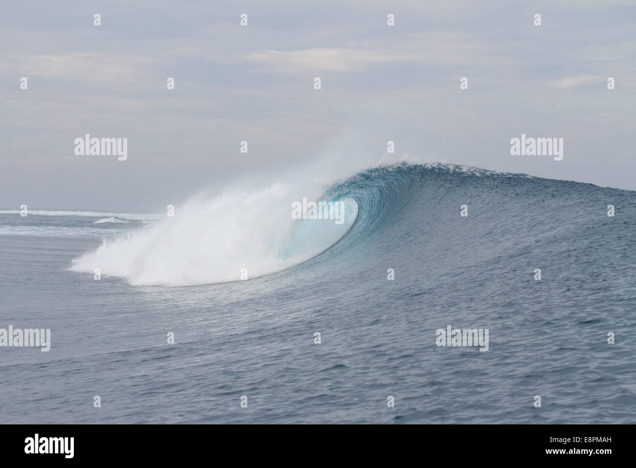 Barreling wave and surfer hi-res stock photography and images - Alamy