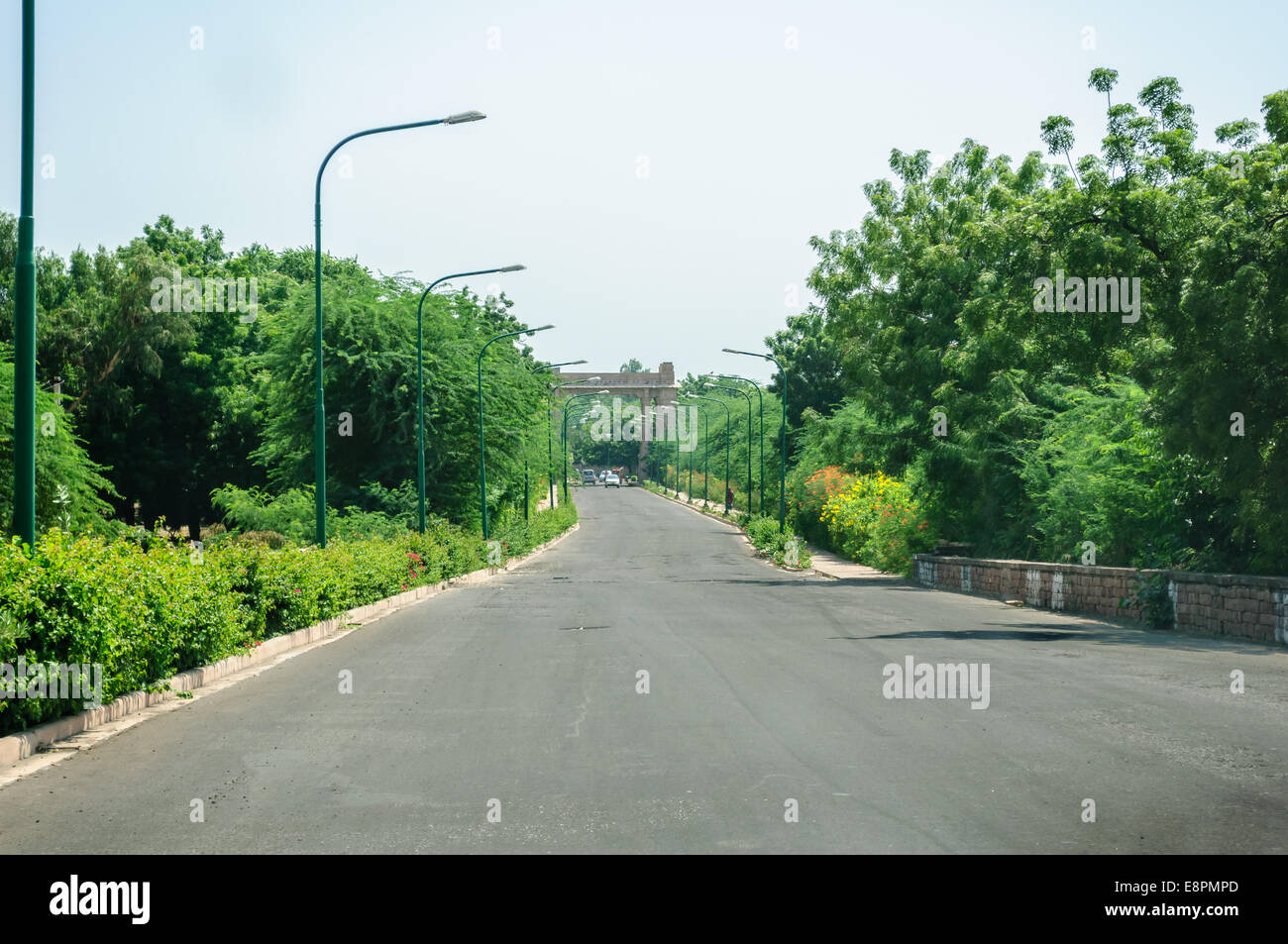 Tree lined asphalt road of Jodhpur, Rajasthan, India Stock Photo - Alamy