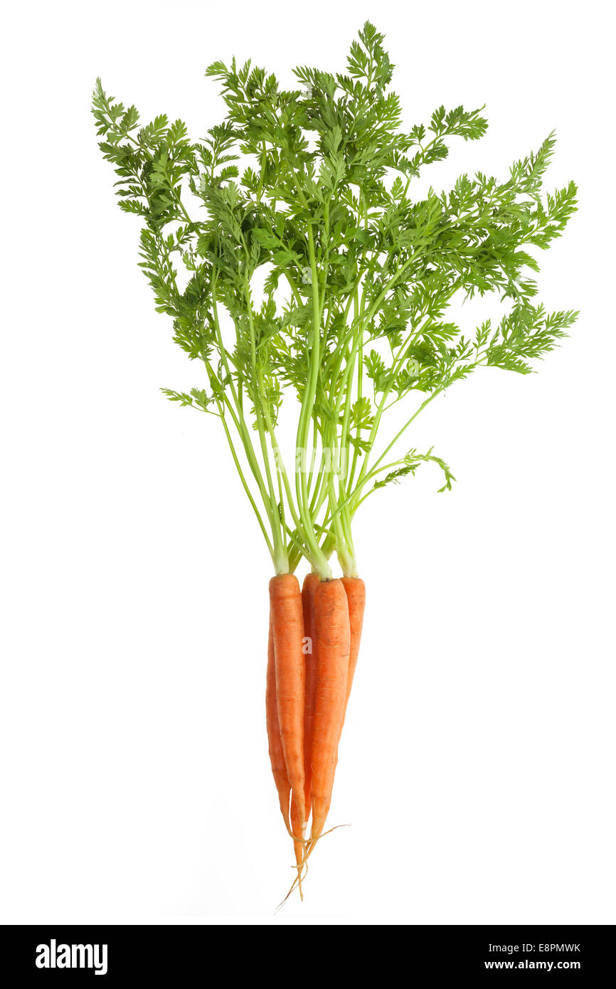 Carrots isolated on white background Stock Photo - Alamy