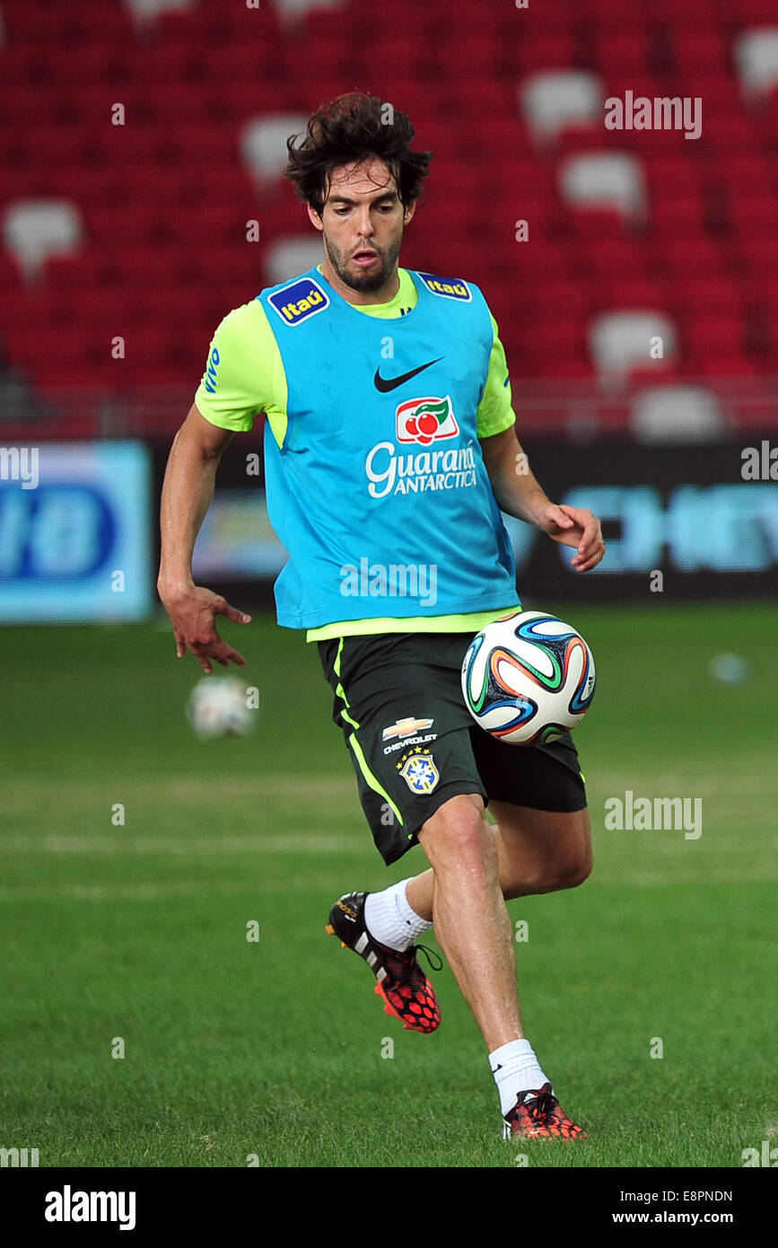 Japan kaka hi-res stock photography and images - Alamy