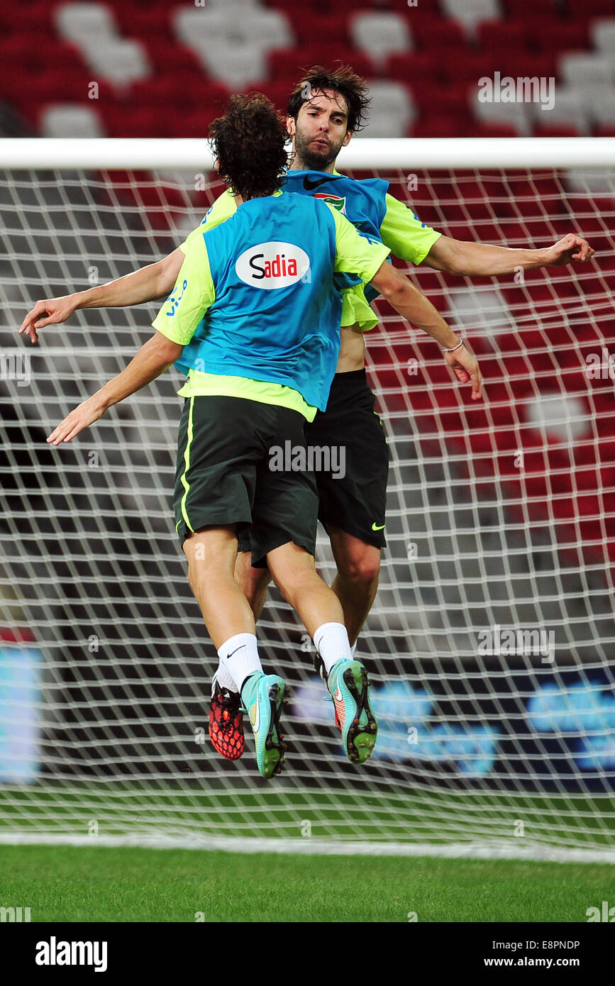 Japan kaka hi-res stock photography and images - Alamy