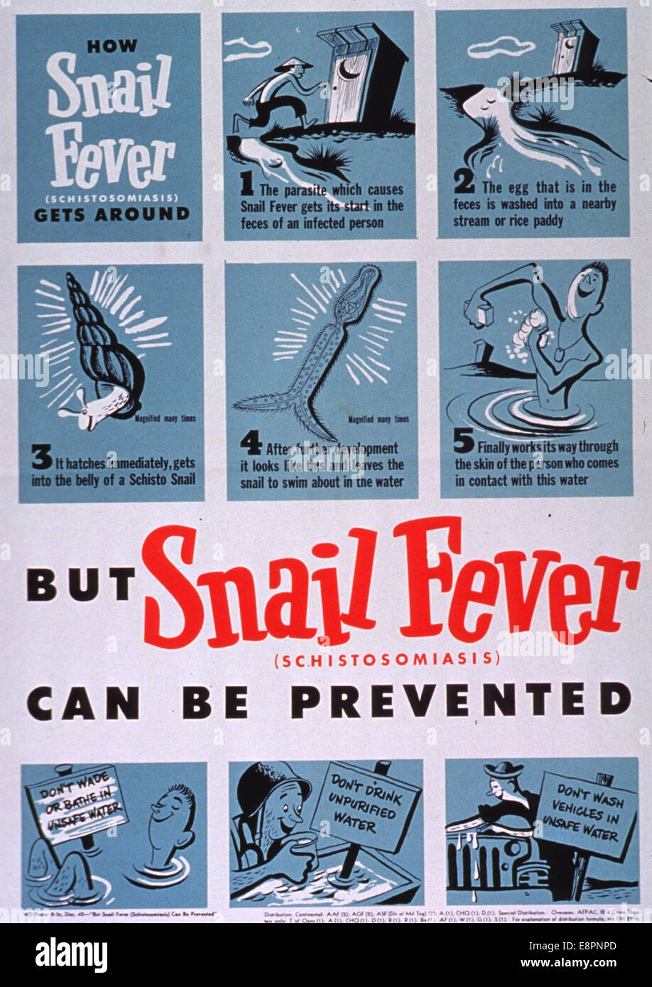 This Image Provides Information On The Prevention Of Snail Fever