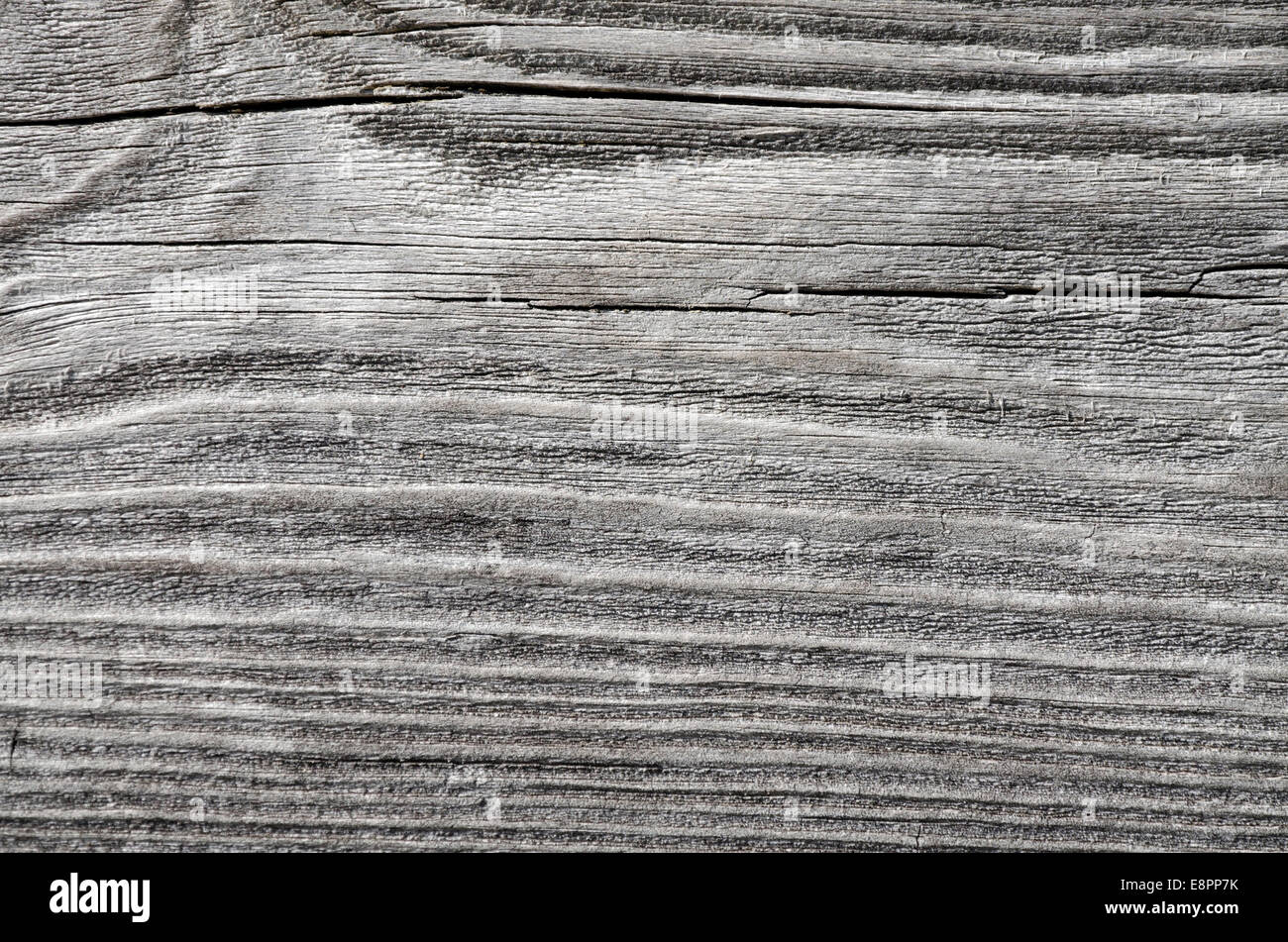 Dry wood texture in sunlit Stock Photo - Alamy