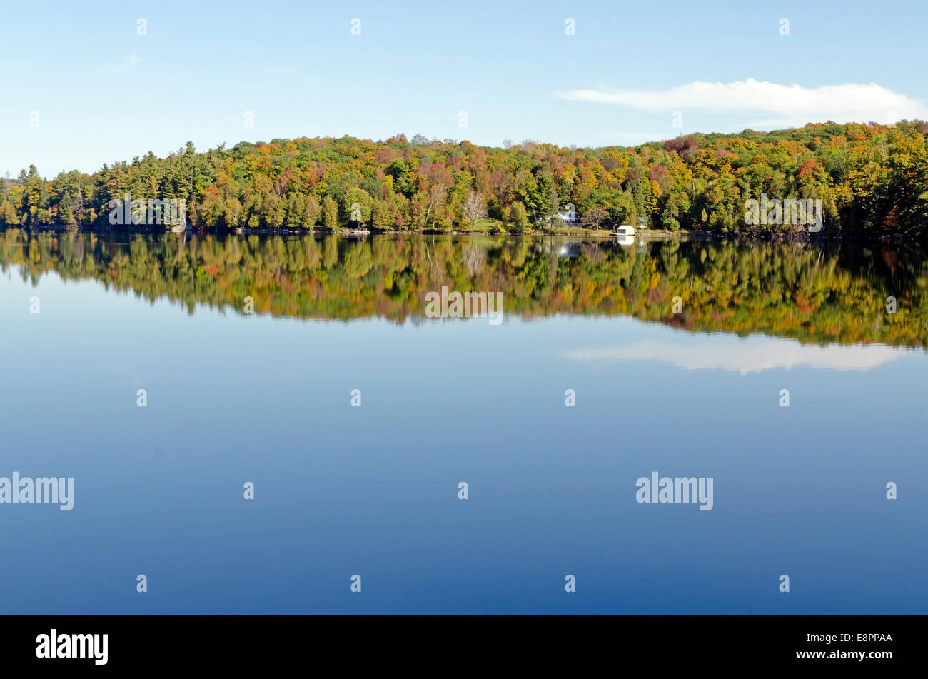 Reflection of colorful forest in lake surface in the overcast day Stock ...