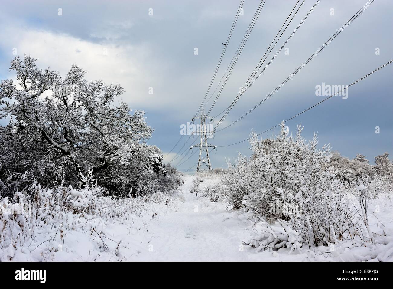 A pylon stand in a snowy landscape Stock Photo - Alamy