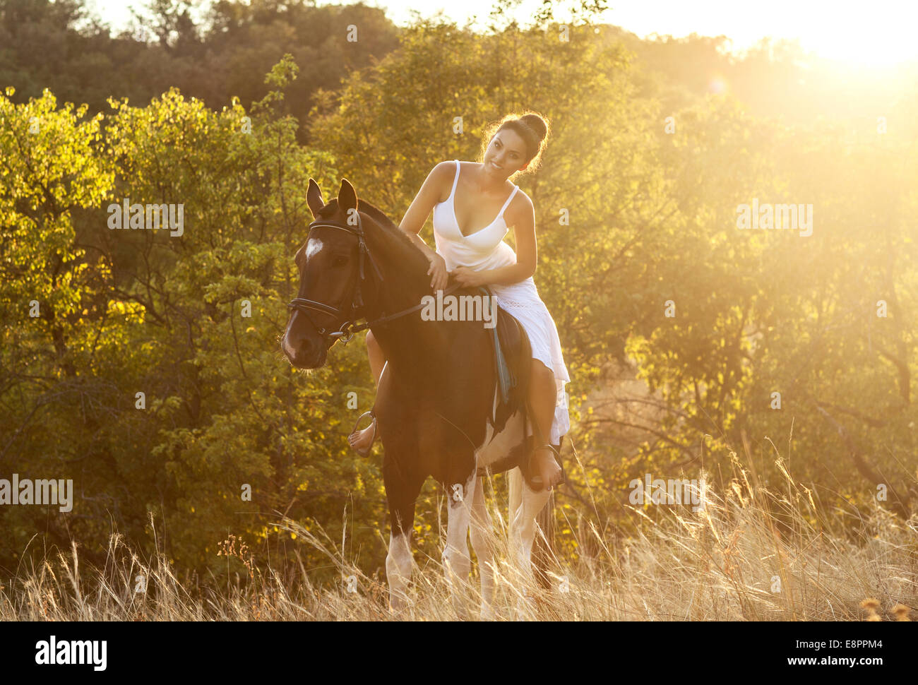 Beautiful woman on a horse. Horseback rider Stock Photo - Alamy