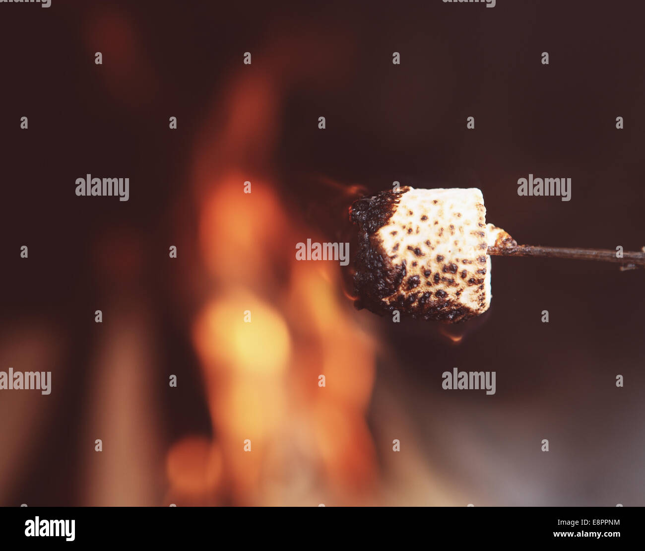 Marshmallow on a stick over a fire hi-res stock photography and images ...