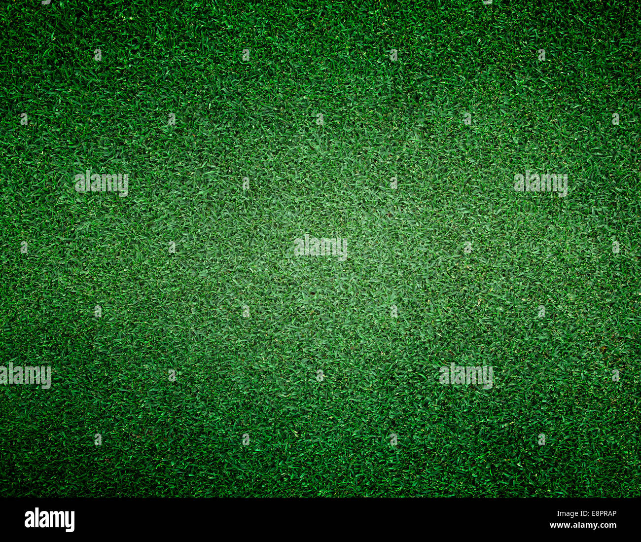 Lawn patterns hi-res stock photography and images - Alamy