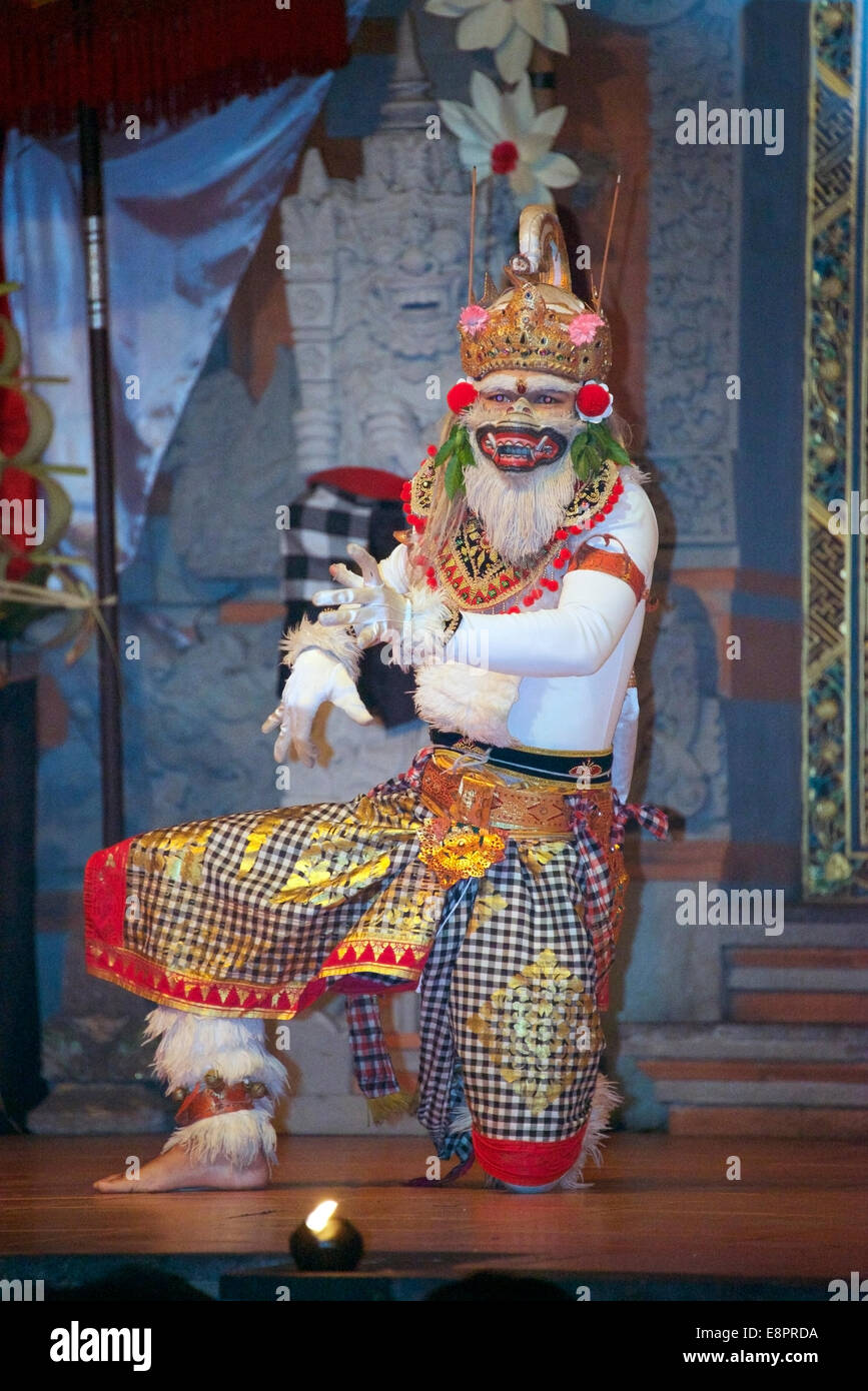 White Monkey Stock Photos & White Monkey Stock Images - Alamy