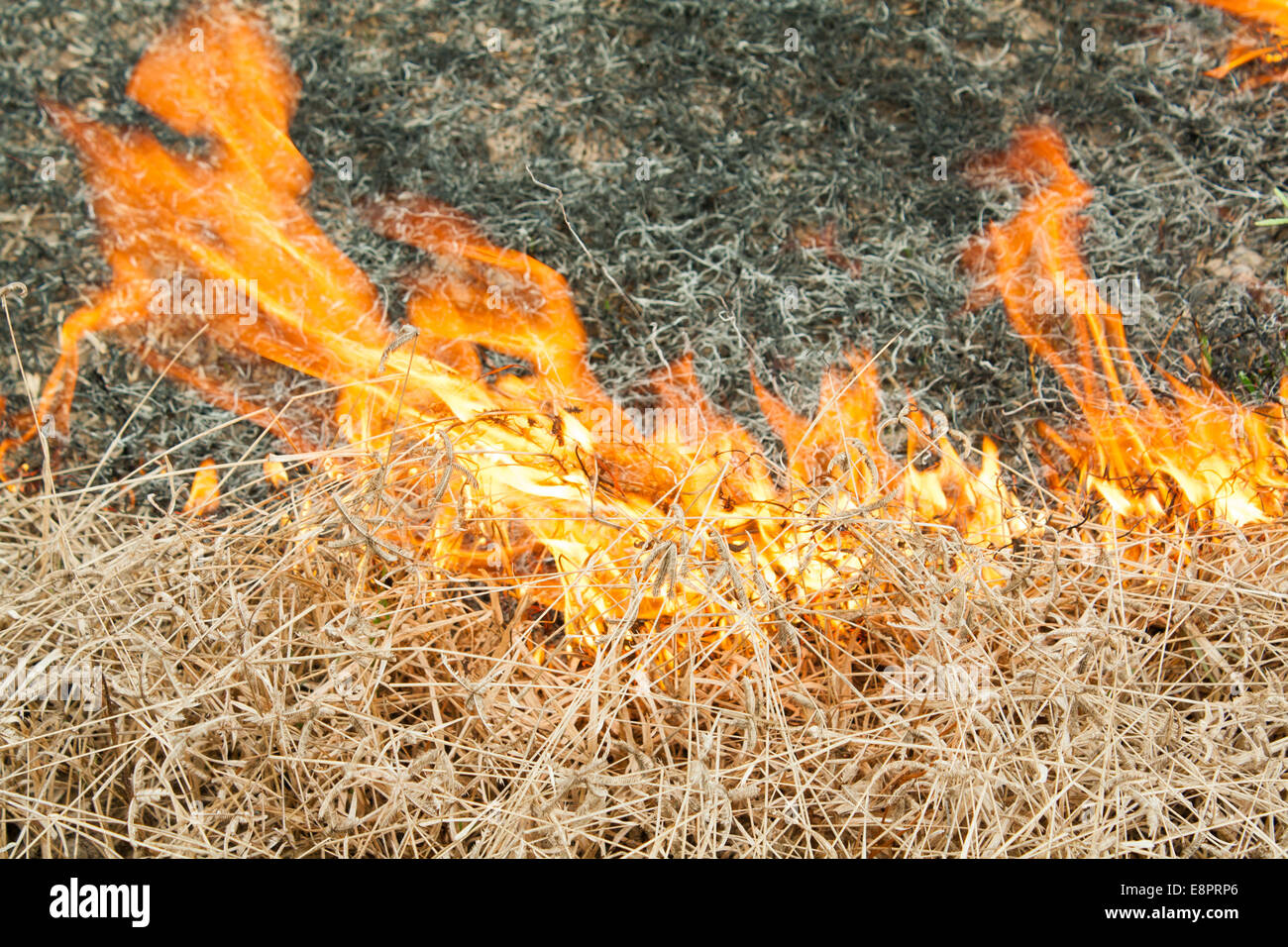 Solution to burn hi-res stock photography and images - Alamy