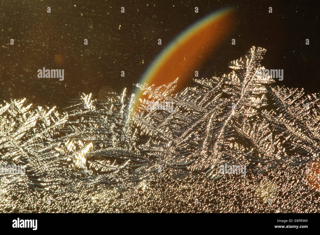 Traceries hi-res stock photography and images - Alamy