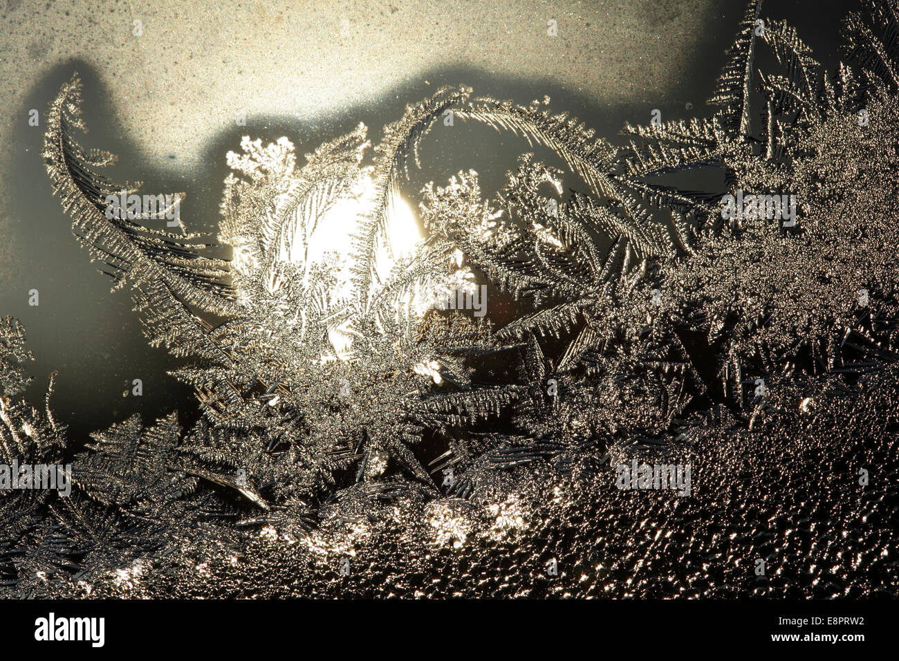 Traceries hi-res stock photography and images - Alamy