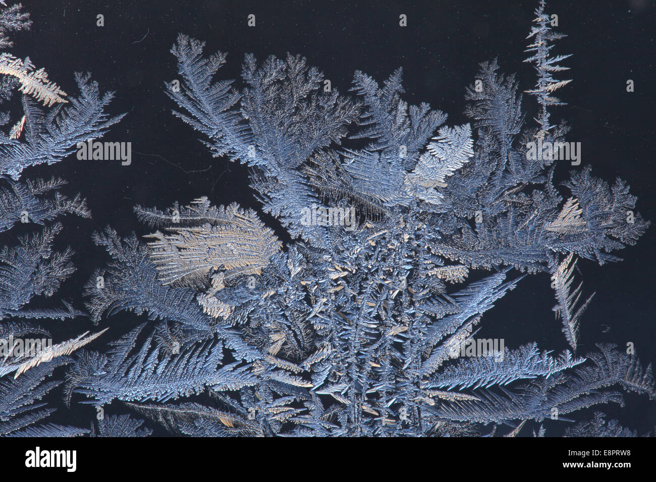 Traceries hi-res stock photography and images - Alamy