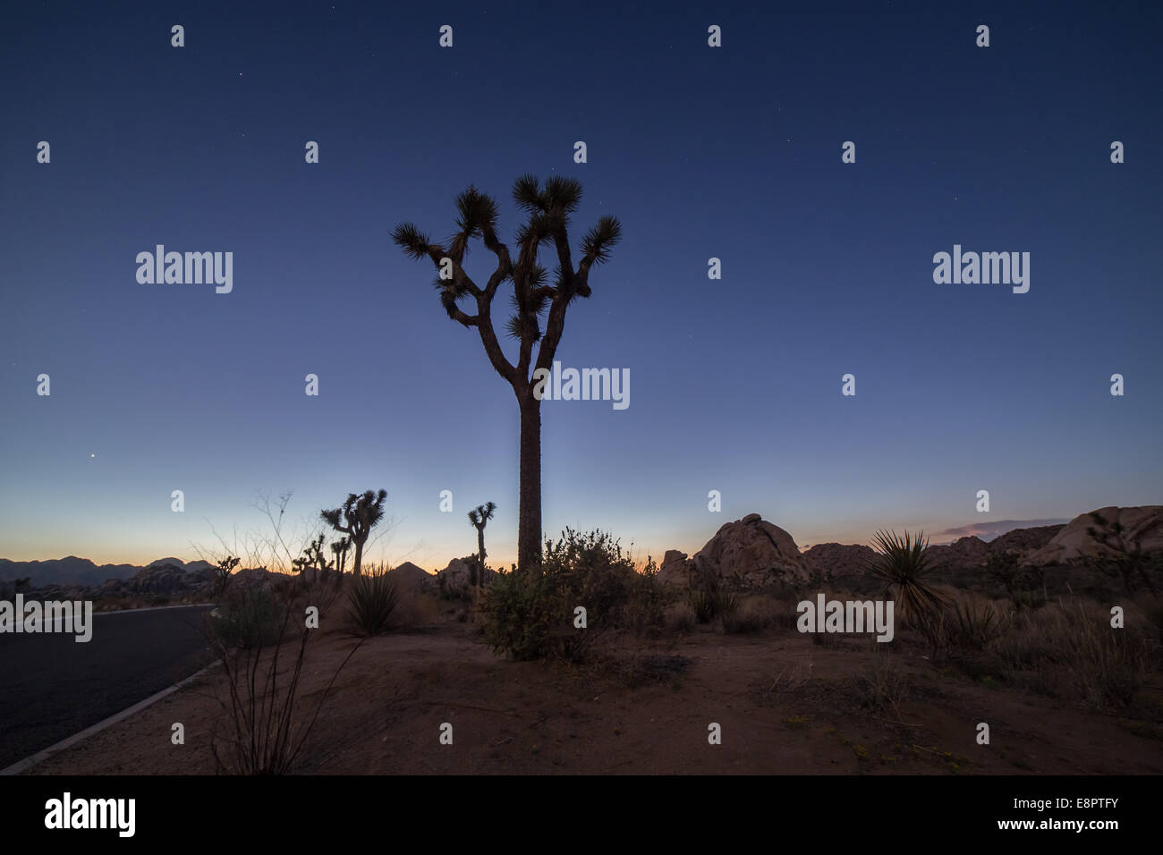 Sunrise in mojave national preserve hi-res stock photography and images ...