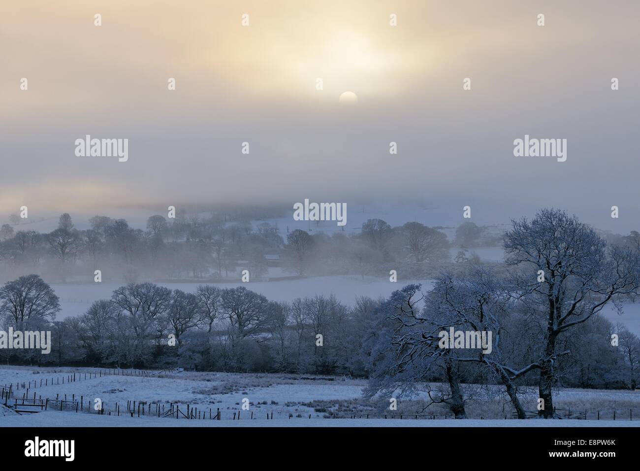 With snow on the ground, mist hangs between trees in fields near to ...