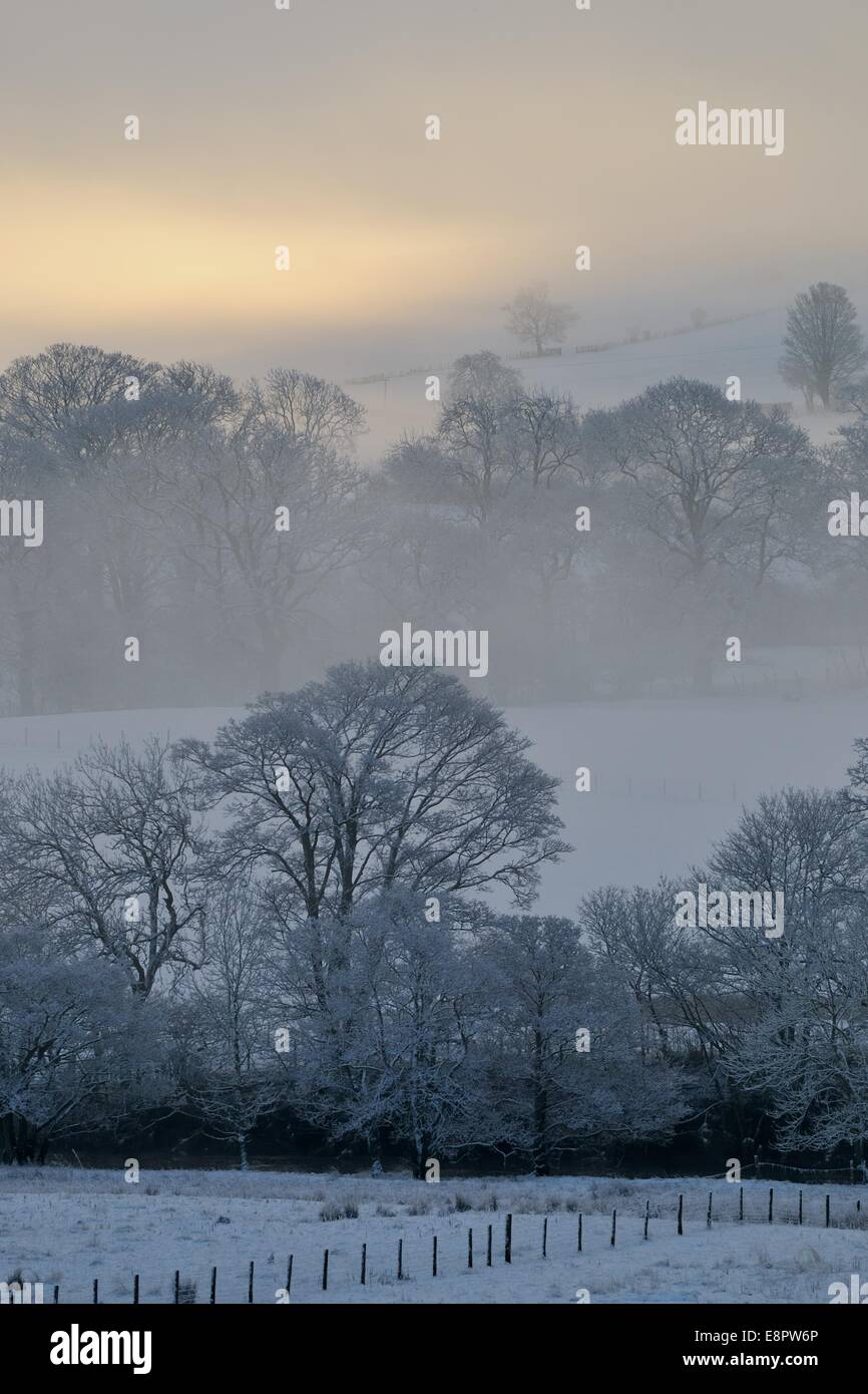 With snow on the ground, mist hangs between trees in fields near to ...
