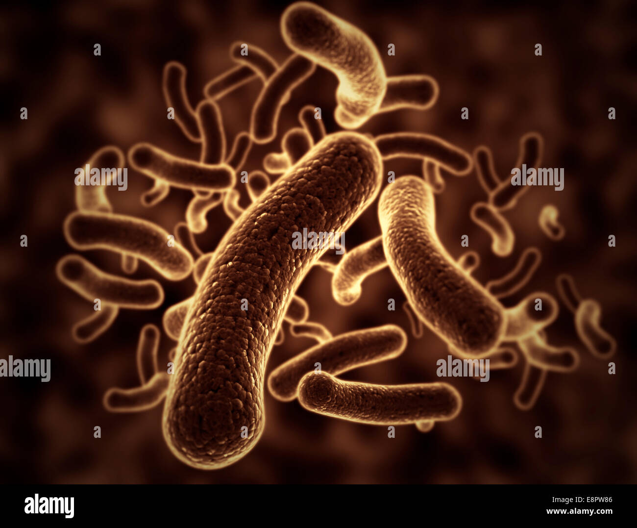 High detailed 3d render of bacteria cells Stock Photo - Alamy