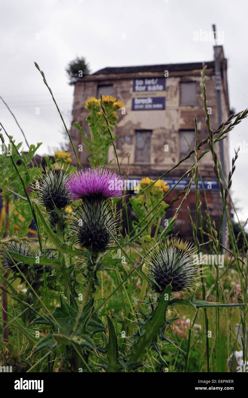 Wasteground hi-res stock photography and images - Alamy