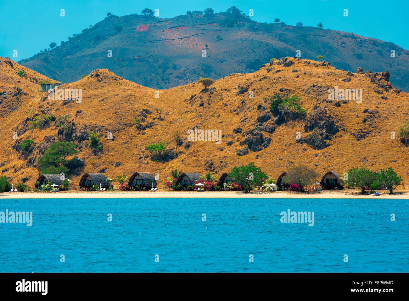 Komodo island hi-res stock photography and images - Alamy