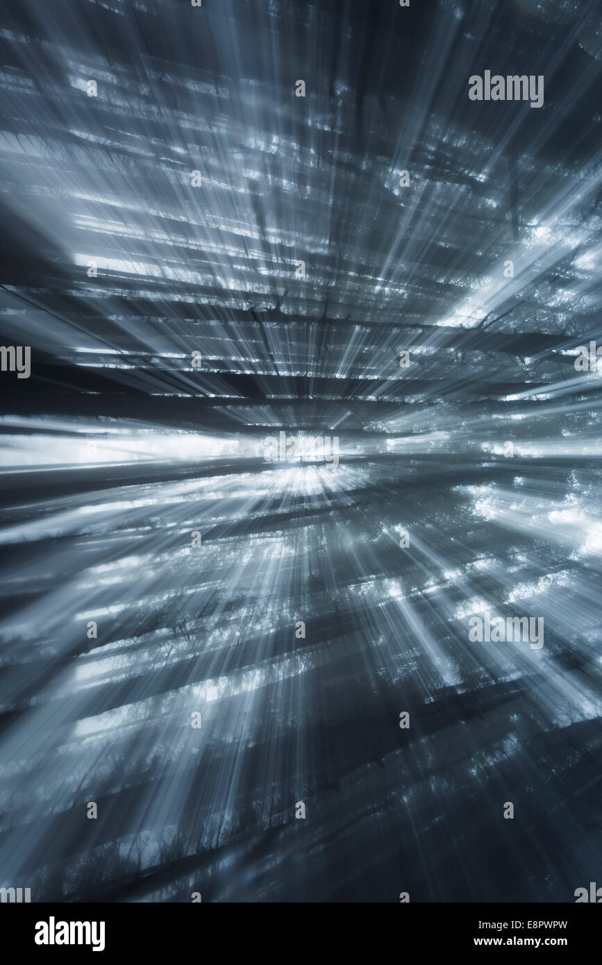 Abstract photograph of forest hi-res stock photography and images - Alamy