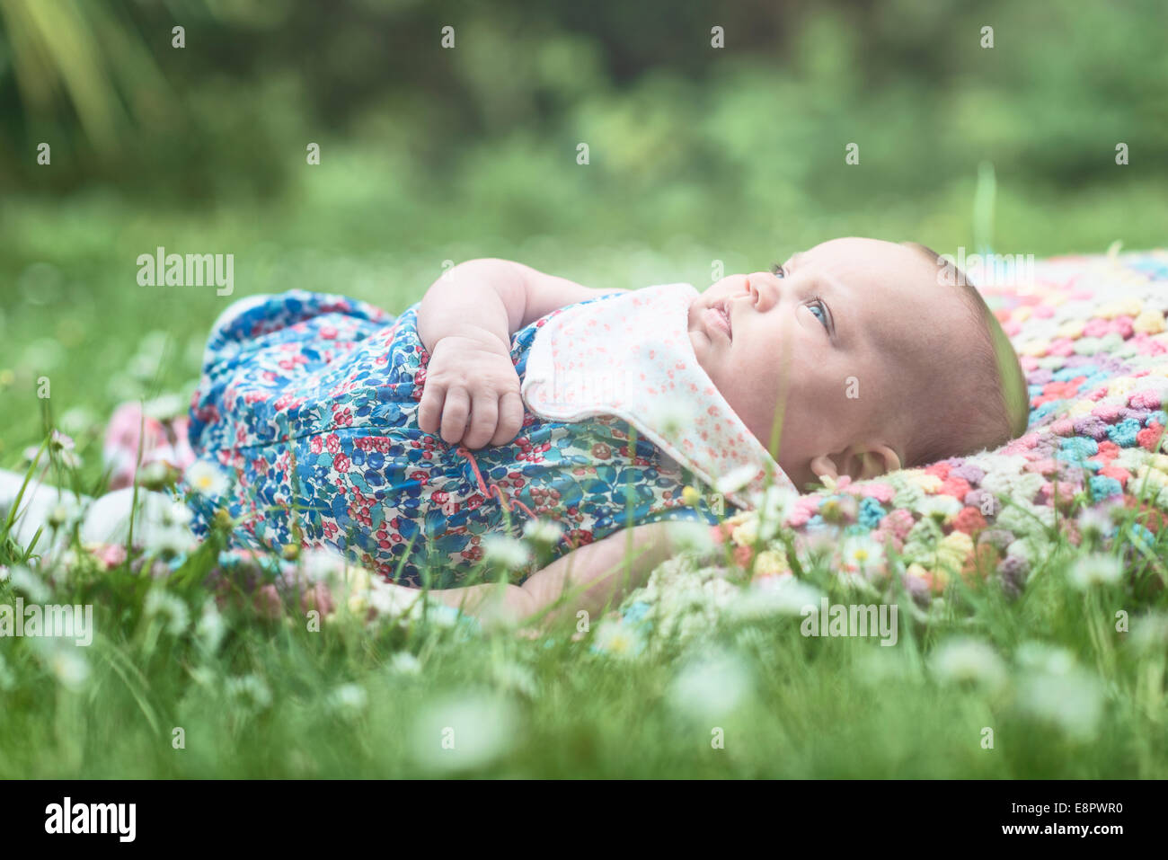 A baby lying on the grass Stock Photo - Alamy