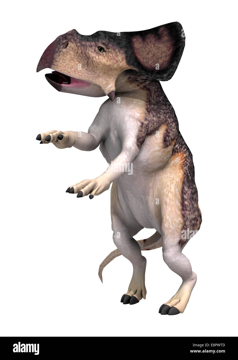 3D digital render of a dinosaur protoceratops isolated on white ...