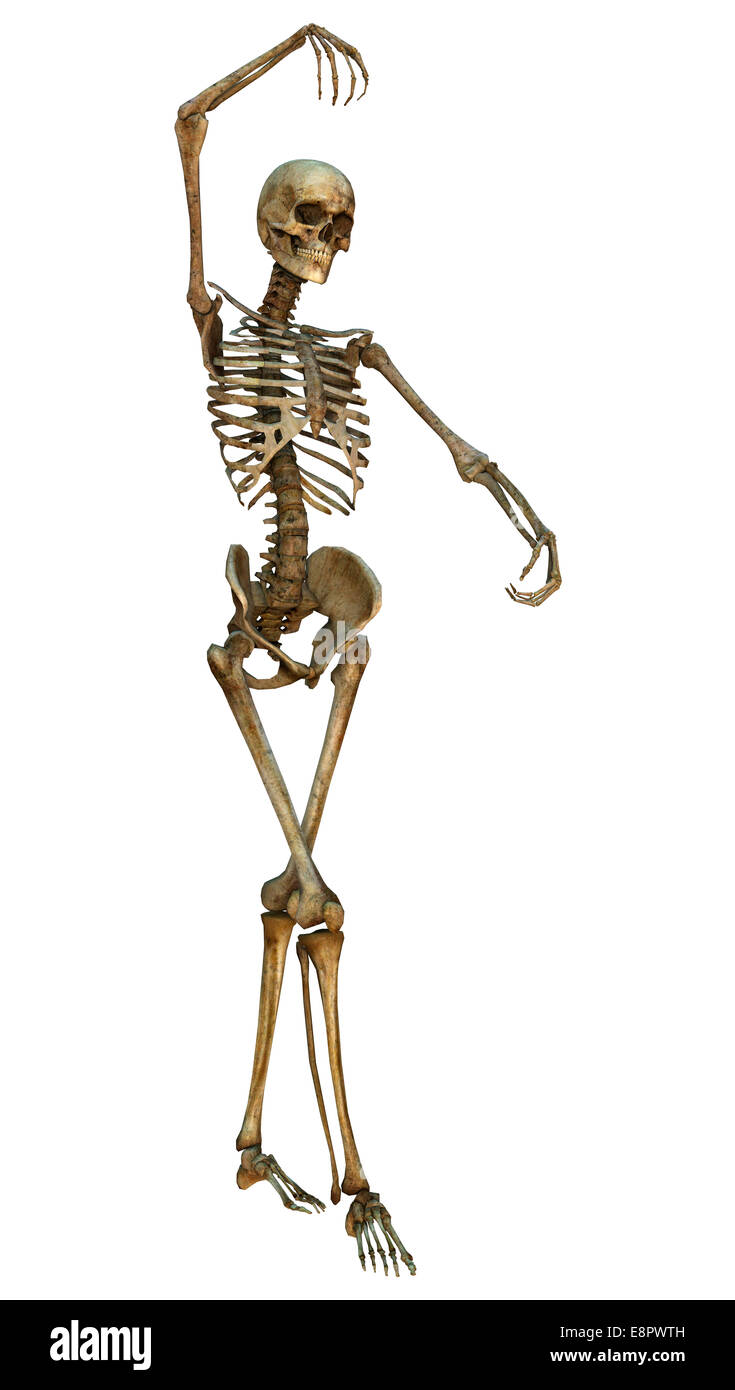 3D digital render of an old human skeleton isolated on white background ...