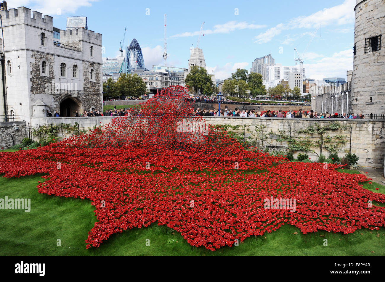 Tower Of London Poppy High Resolution Stock Photography and Images - Alamy