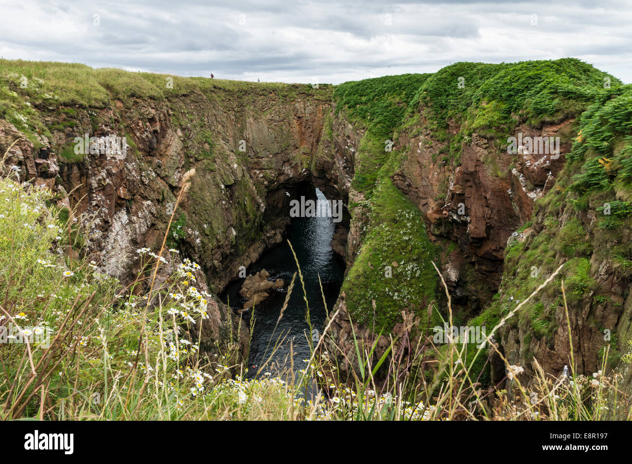 Bullars of Buchan Sea Cave Stock Photo - Alamy