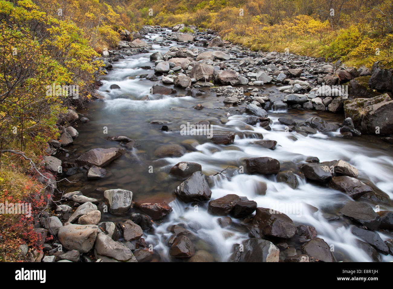 River in the Autumn Stock Photo - Alamy
