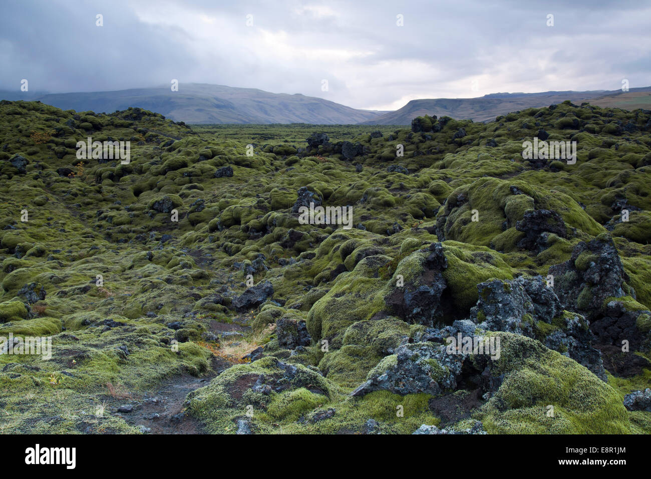 Lava and moss hi-res stock photography and images - Alamy