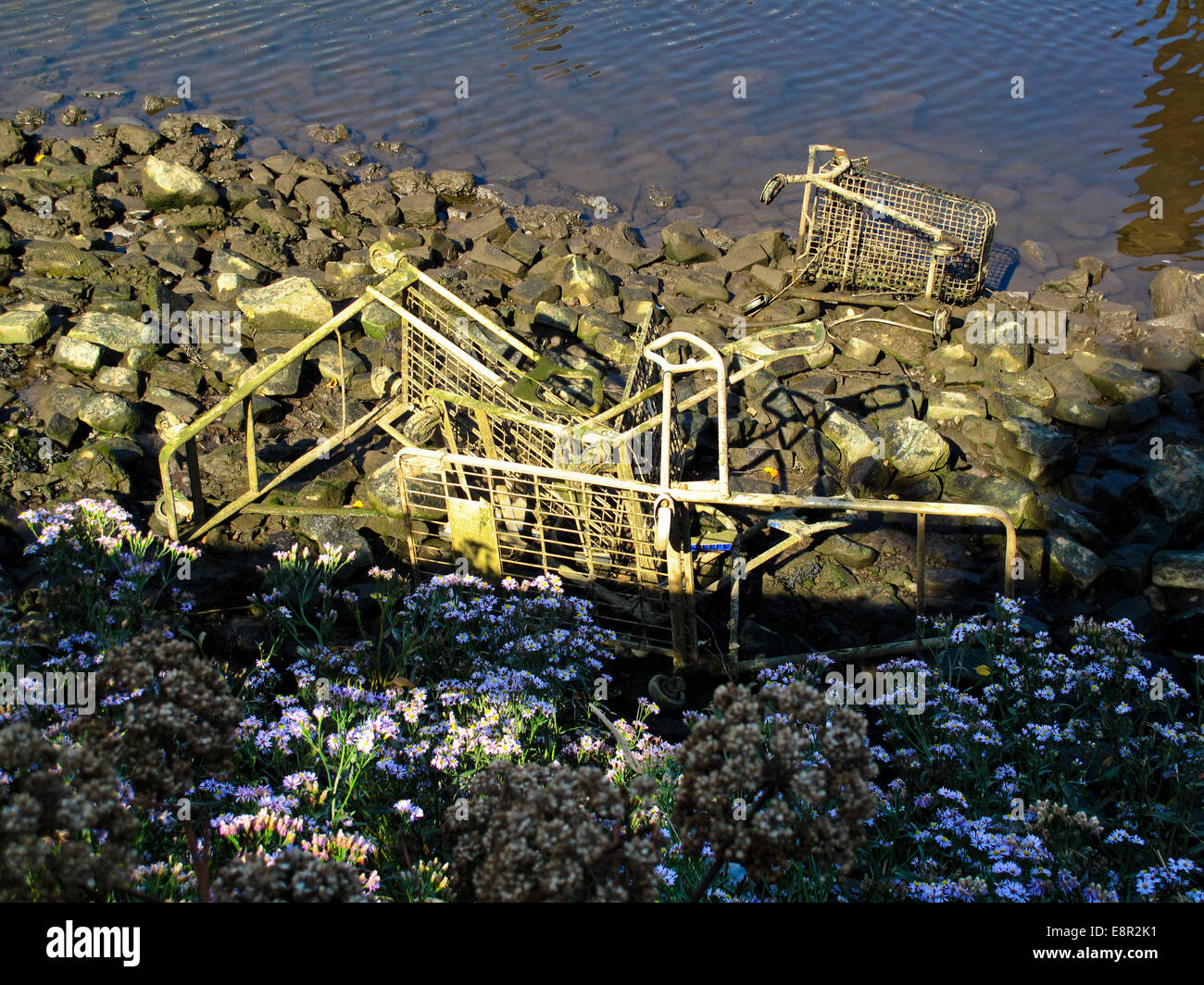 Shopping trolleys river bank riverbank old rusted trolley abandoned hi ...