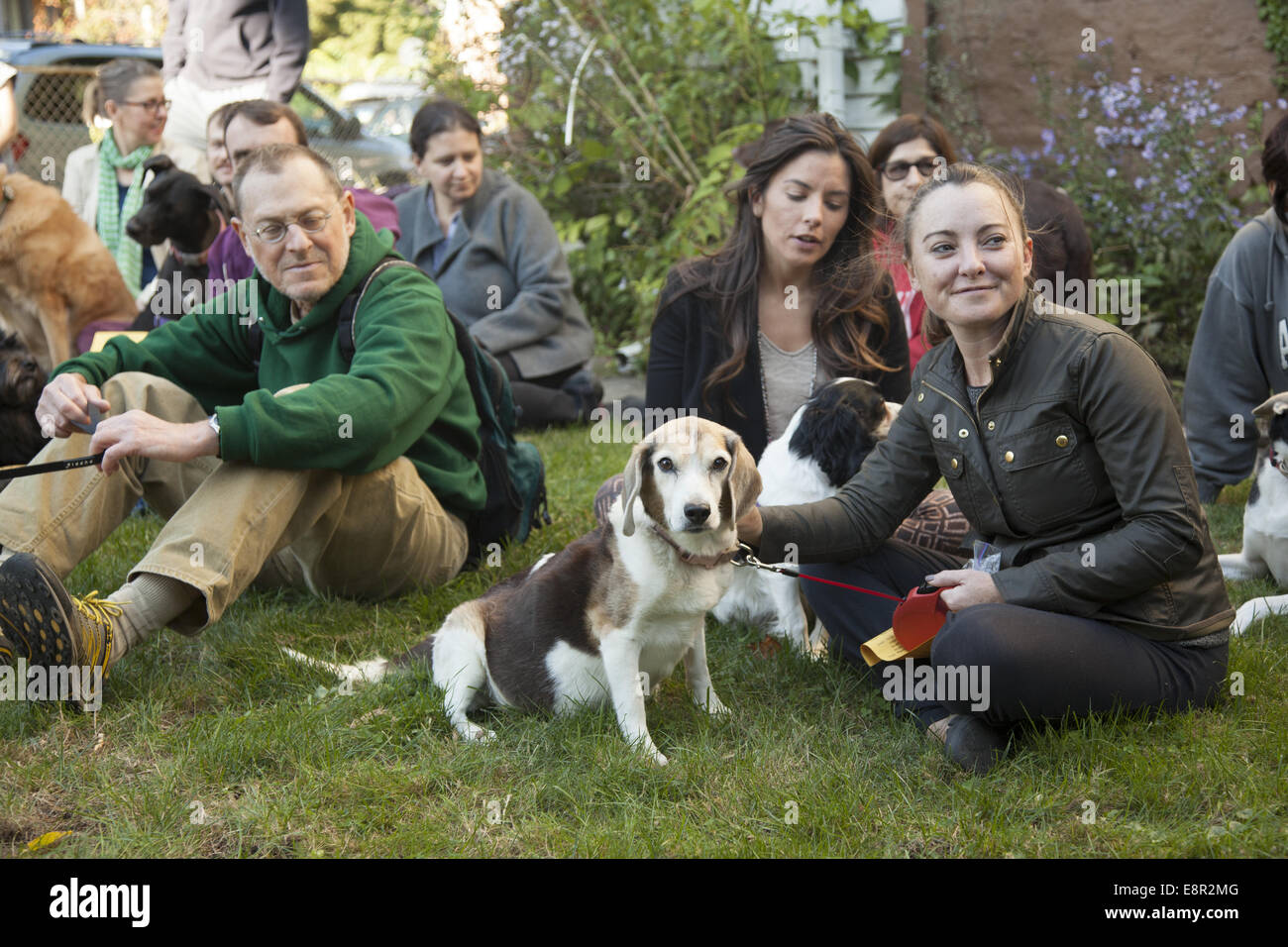 Blessing of the dogs hi-res stock photography and images - Alamy