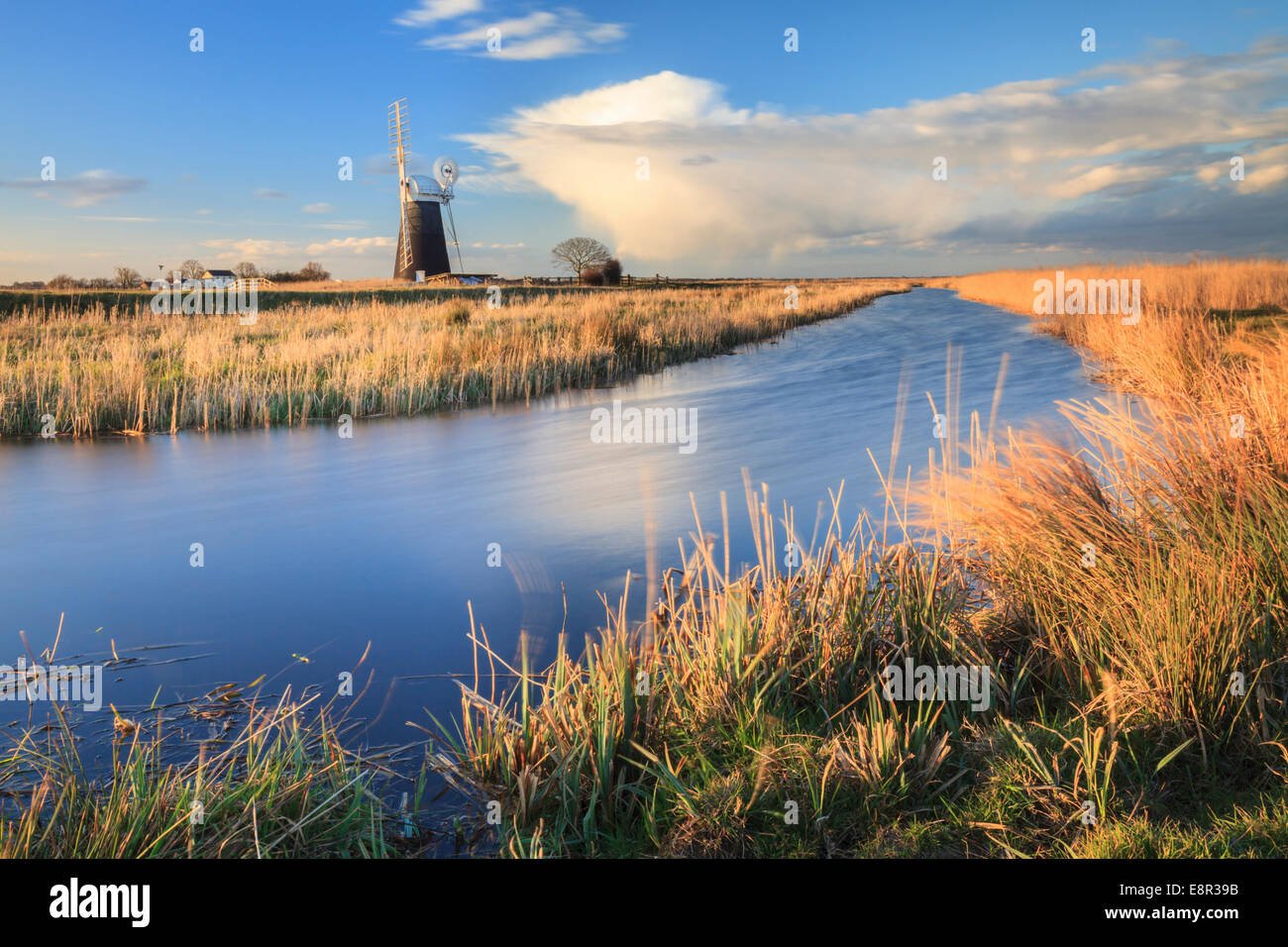 Mutton's Drainage Mill in the Broads National Park Stock Photo - Alamy