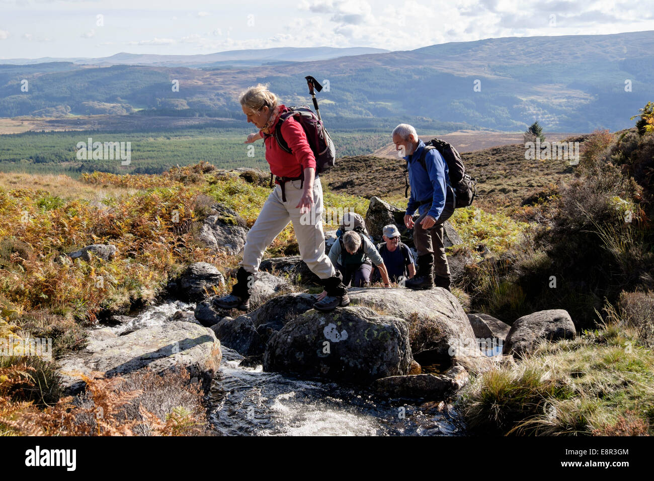 A woman hiker stepping between rocks crossing a mountain stream on ...