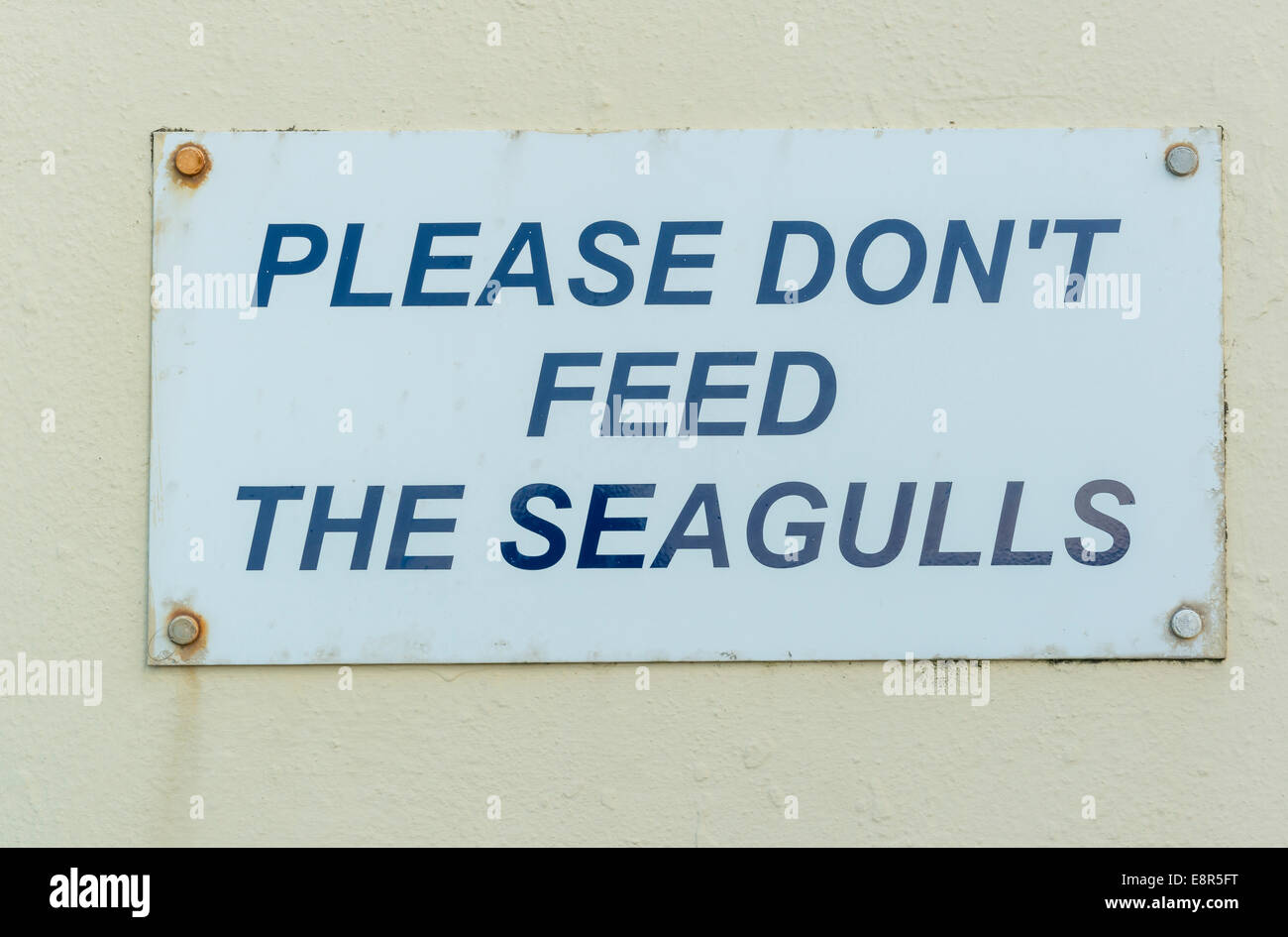 Seagull warning sign hi-res stock photography and images - Alamy