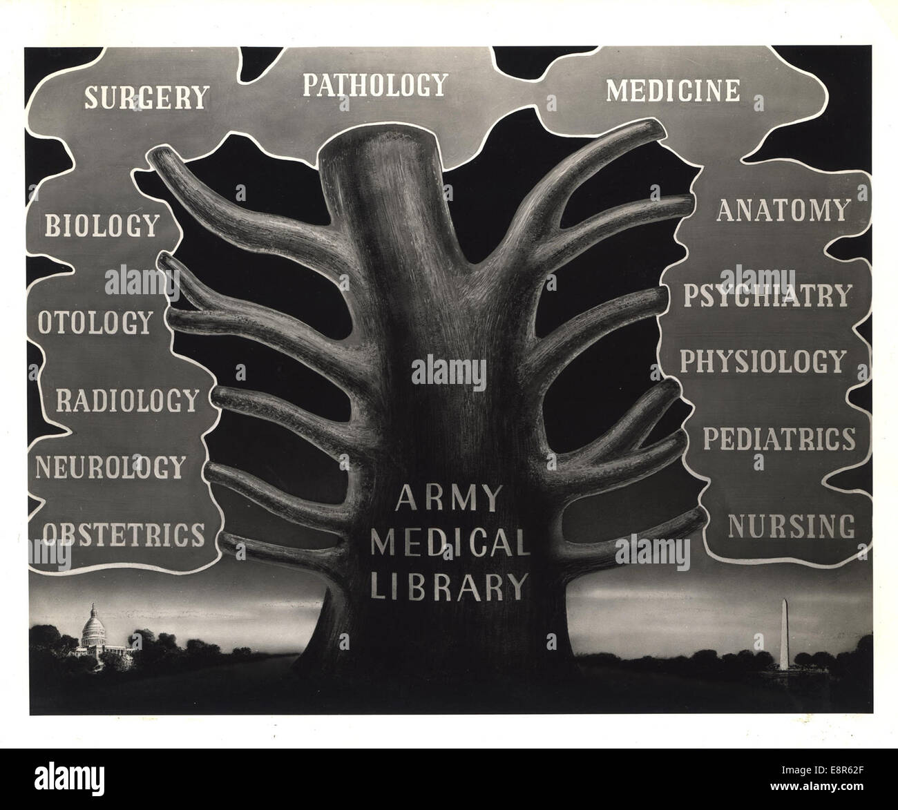 The image shows a representation of the 'Tree of Medical Knowledge ...