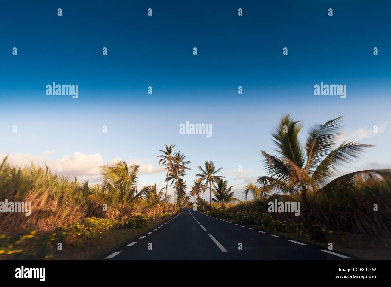 Driving a car ia a open road, Mauritius Stock Photo - Alamy