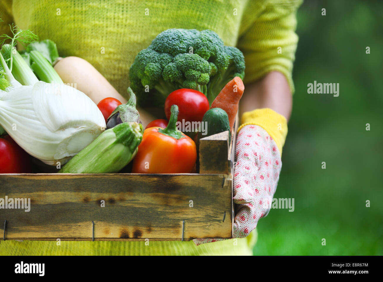 Woman wearing gloves with fresh vegetables in the box in her hands ...