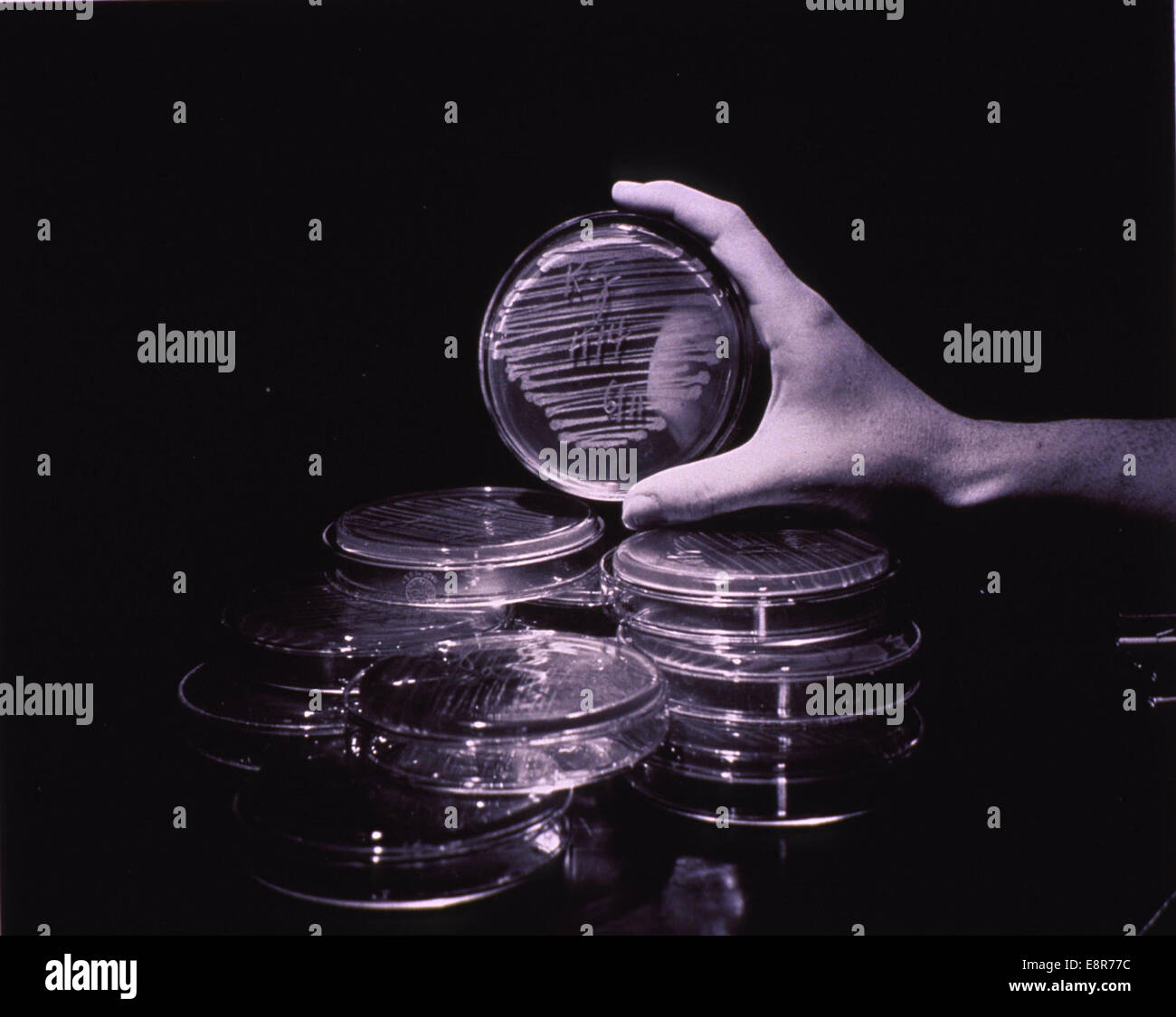 1 1 x w hi-res stock photography and images - Alamy