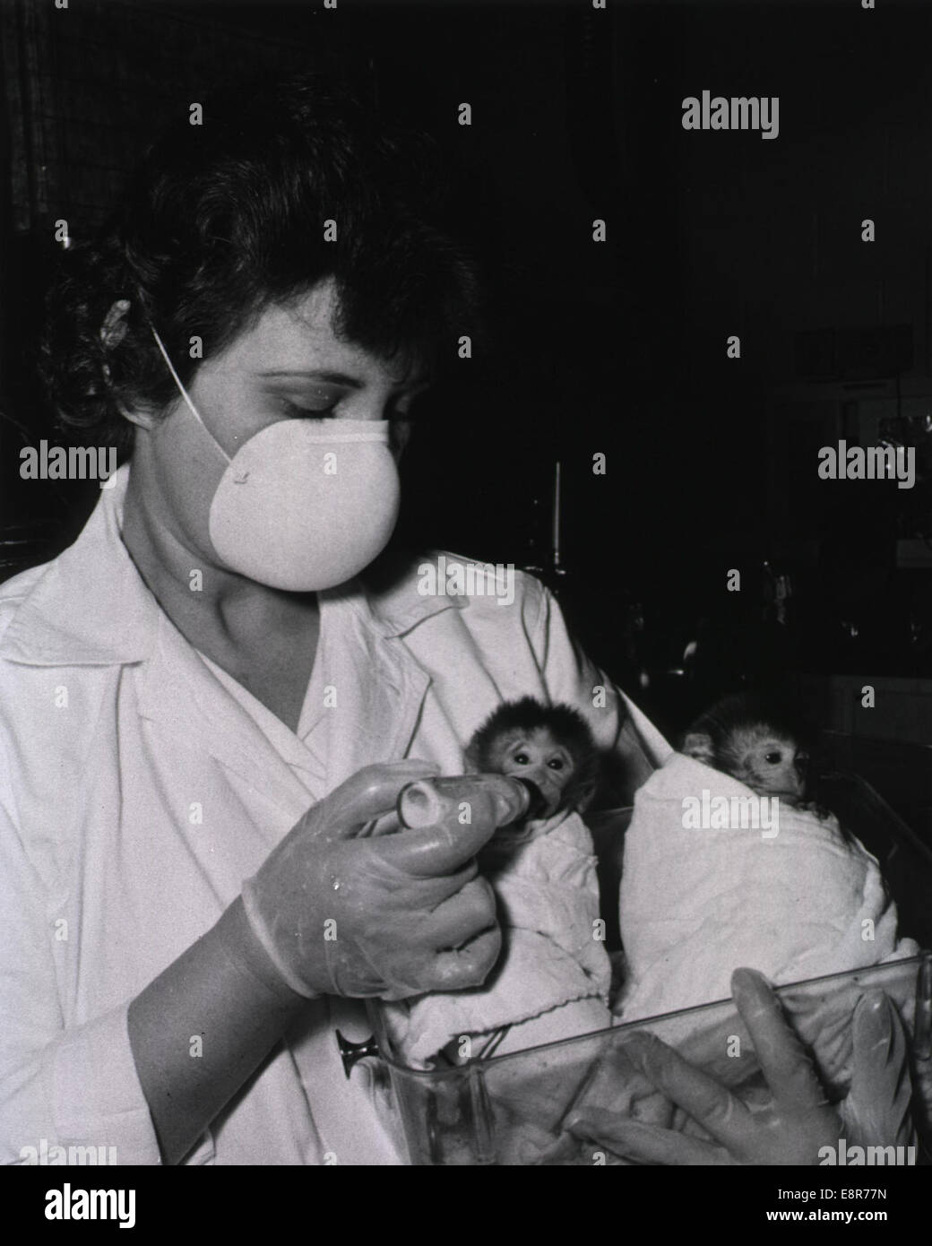 A photograph by Robert S. Pumphrey showing female laboratory ...