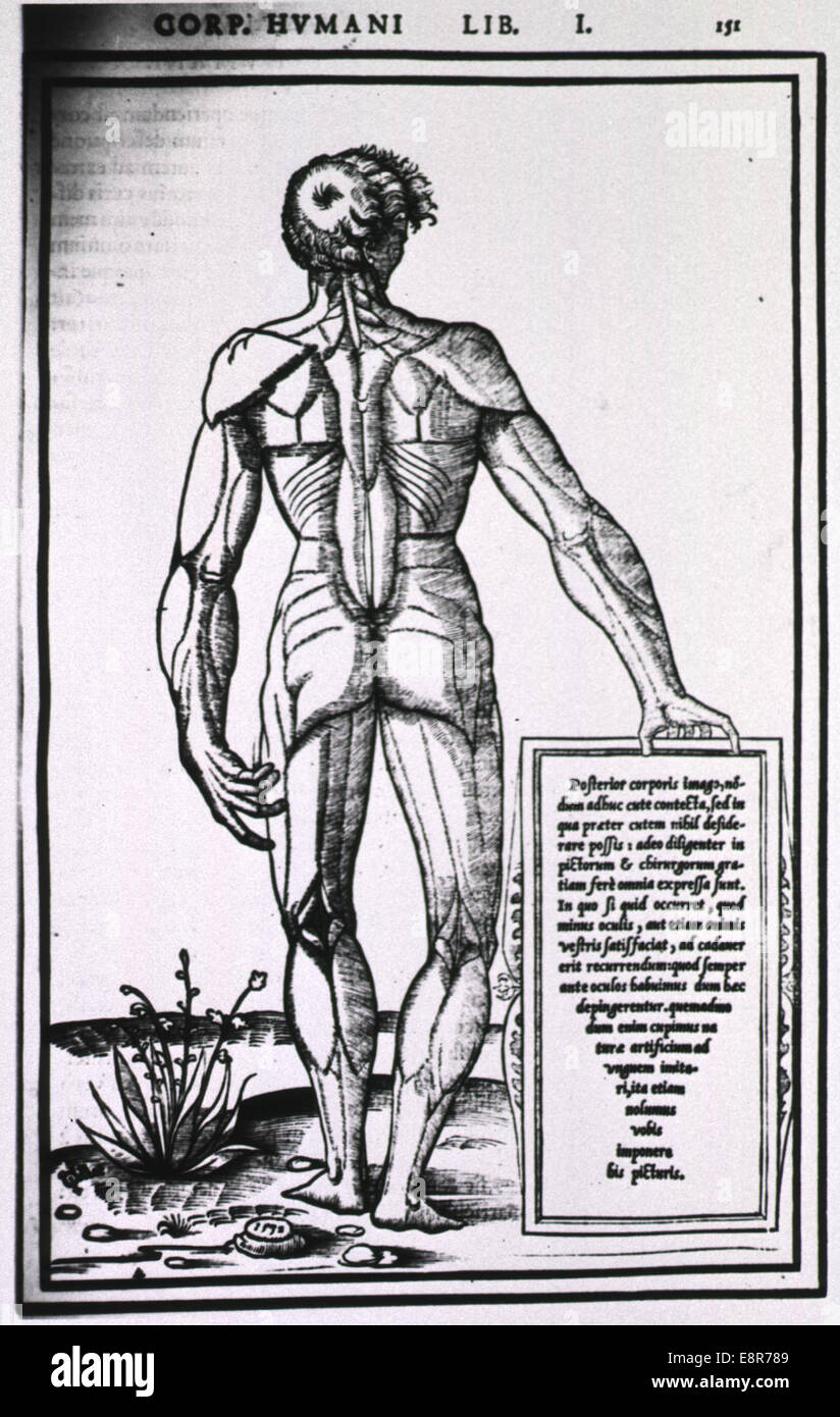 A woodcut print created by Charles Estienne, depicting the rear view of ...