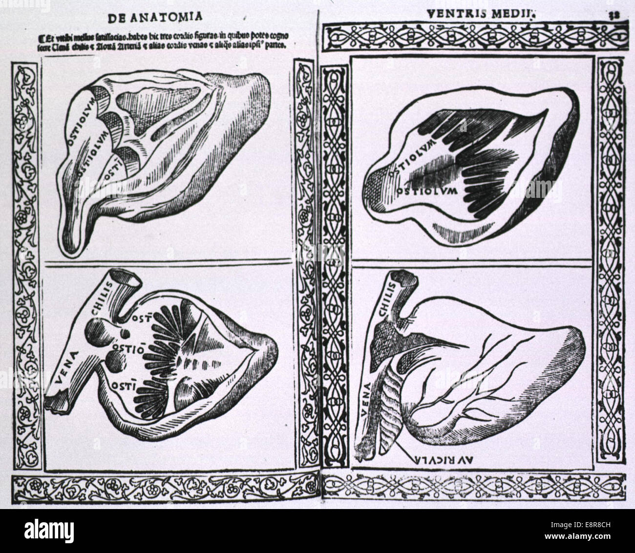This image, titled 'The Heart,' features a symbolic or artistic ...