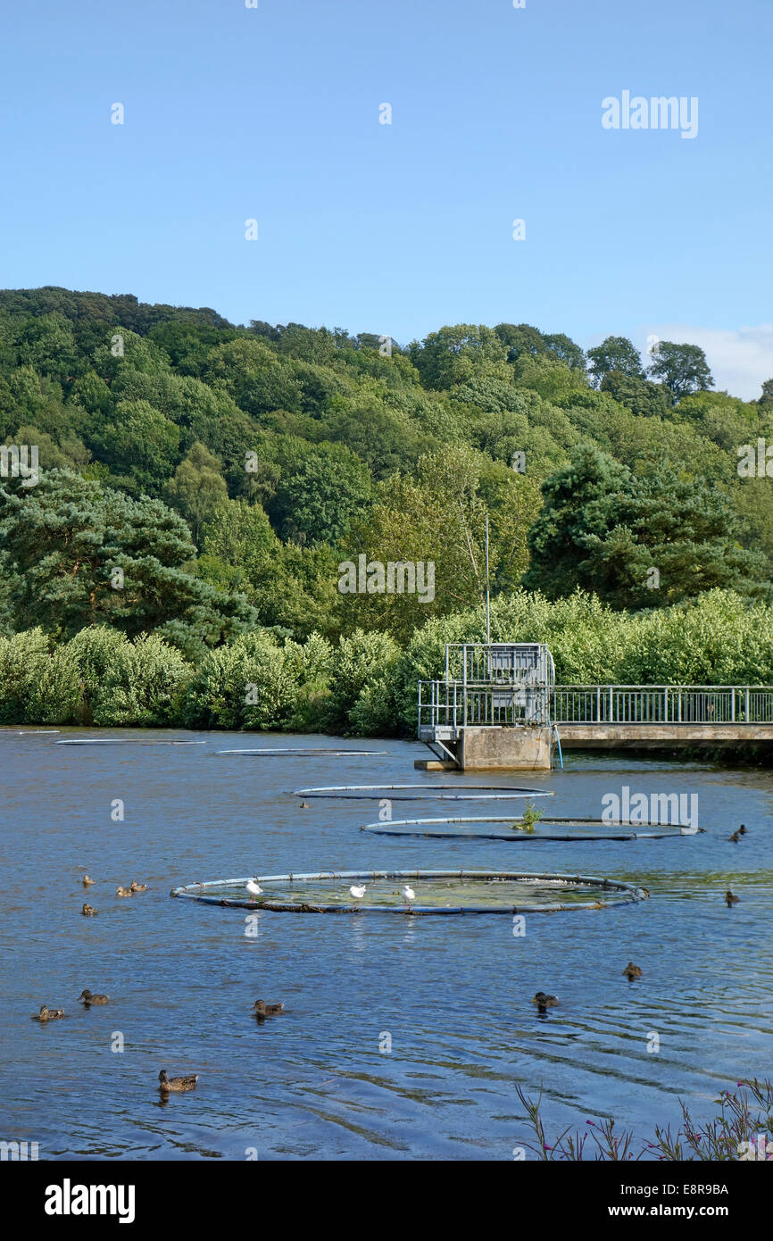 Trimpley Reservoir, Trimpley, Worcestershire, England, UK in Summer ...